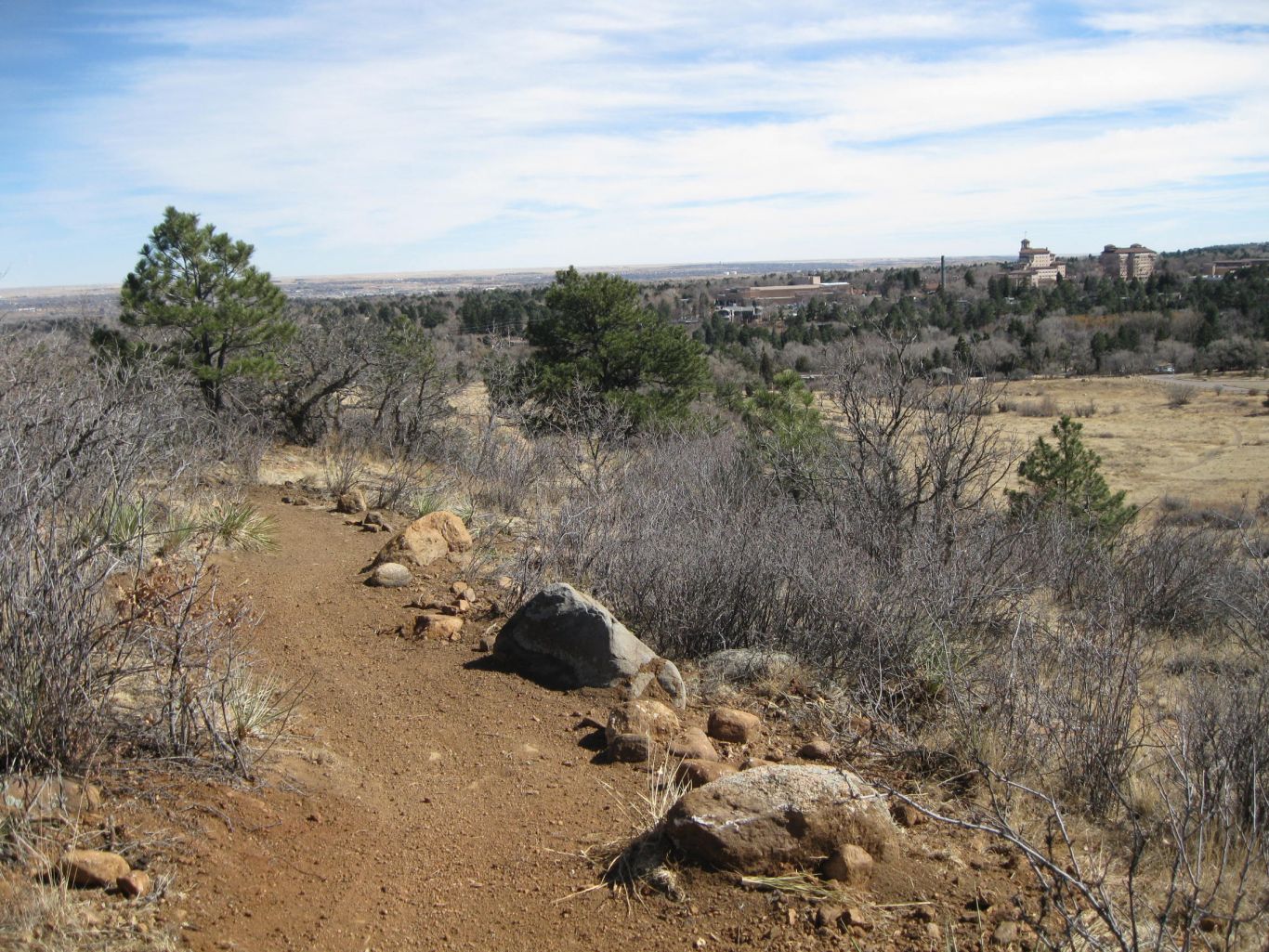 Trail Arts - Portfolio